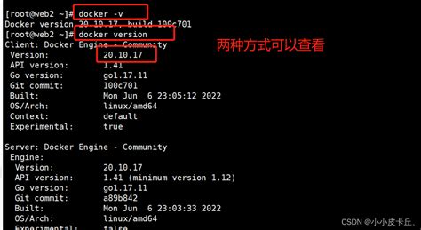 Docker的基本操作 Csdn博客