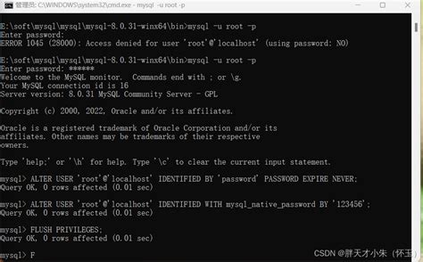 Navicat连接数据库（mysql）报错1251解决。以及可能报错1045解决数据库1251错误 Csdn博客