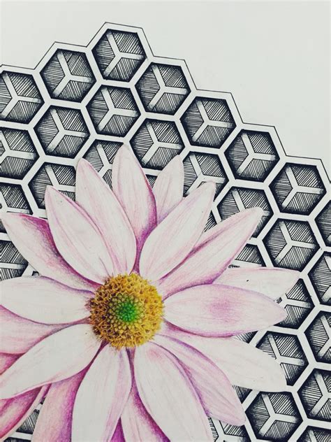 Organic And Geometric Shapes In Art