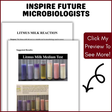 Litmus Milk Reaction Lab With Questions And Answers High School
