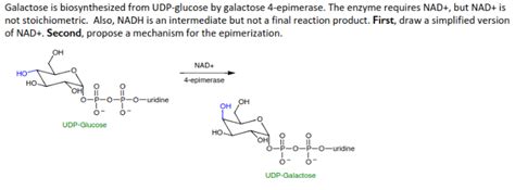 Solved Galactose Is Biosynthesized From Udp Glucose By Ga