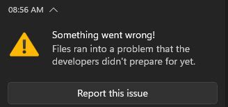 Unable To Update My App Either From The Files App Itself Nor From The Microsoft Store Issue
