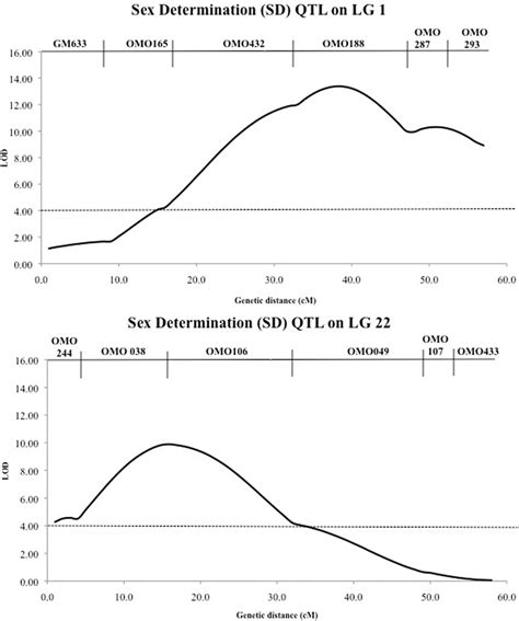 QTL For Sex Detected On LG And LG In Salt Tolerant Tilapia The Download Scientific