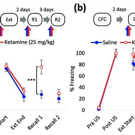 Example Generalization Gradients From Linear And Similarity Subgroups