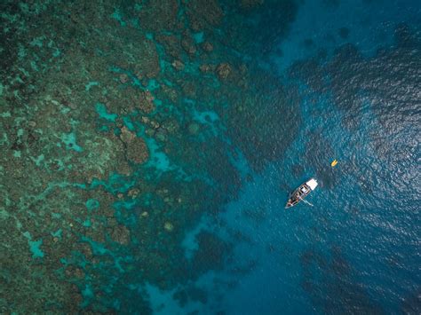 Coral Sea Dreaming Overnight Great Barrier Reef Tours