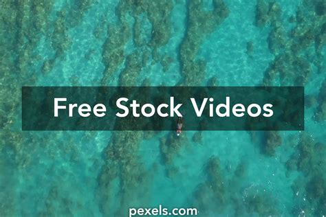 Reef Surfing Videos Download The Best Free 4k Stock Video Footage
