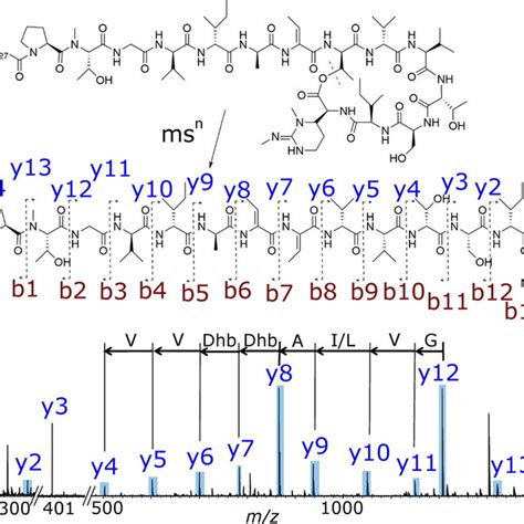 cid fragmentation spectra of stendomycin i 74 a single fragmentation