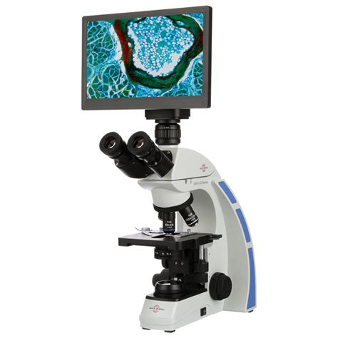 Accu Scope 3000 Led Microscope Top Pick Vet Microscope Microscope