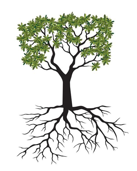 Green Tree With Roots Vector Outline Illustration Plant In Garden 21695260 Vector Art At Vecteezy