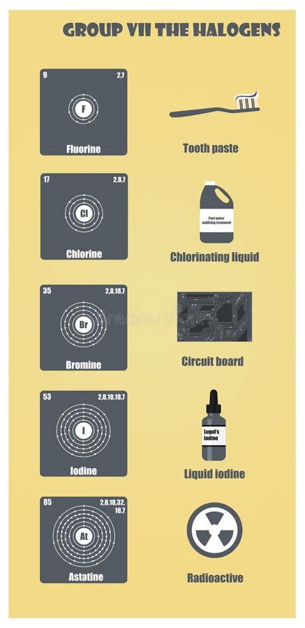 Periodic Table Of Element Group Vii The Halogens Stock Vector