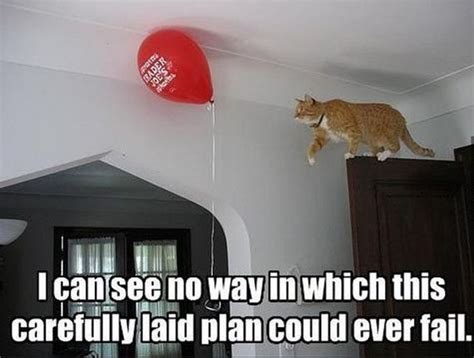 Logic Not Here Barnorama