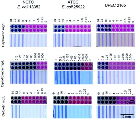 Miniaturised Broth Microdilution For Simplified Antibiotic Susceptibility Testing Of Gram