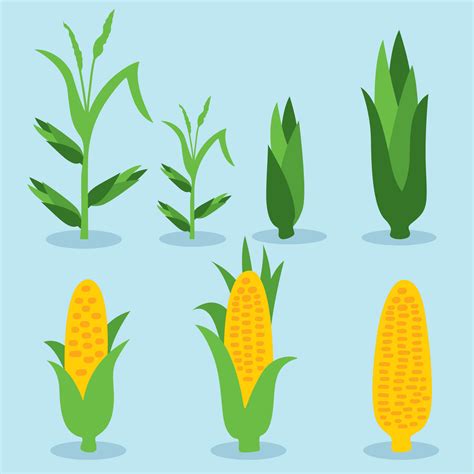 Corn Element On Blue Vector 170691 Vector Art At Vecteezy