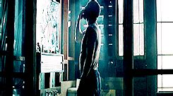 Meet The Muse Tumbex