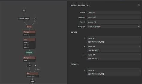 Parameterless Model Still Has Extra Inputs When Exported To Onnx Insufficient Checking Of