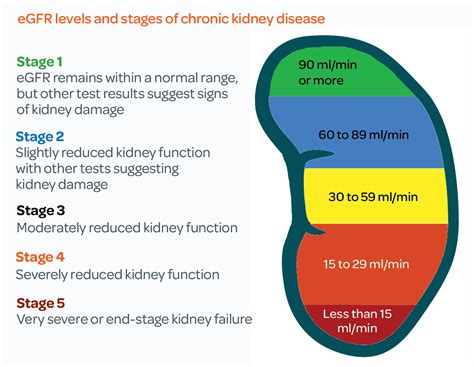 Understanding Your CKD Blood And Urine Test Results Kidney Care UK
