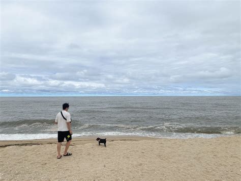애견동반 무계획으로 떠난 강릉 당일치기 여행 코스 네이버 블로그