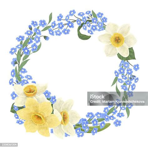 파란색 물망초와 수선화 꽃의 둥근 프레임 화환 흰색 배경에 수제 디지털 일러스트레이션 디자인을 위한 요소 0명에 대한 스톡 벡터