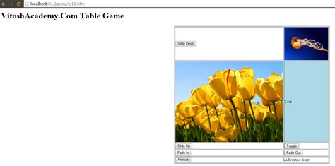 Jquery Fadein Slidetoggle Slideup Animate Useful Code