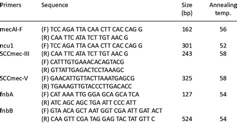 primer sequences and amplicon sizes of tested genes fibronectin binding