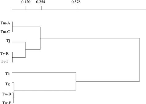 upgma dendrogram derived from nei standard genetic distances