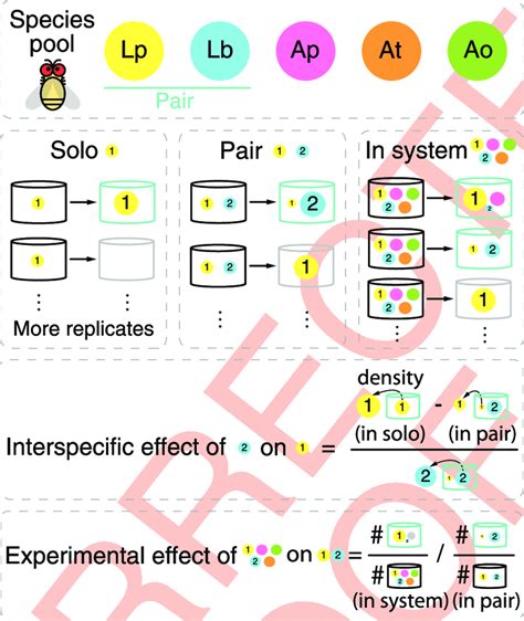 illustration of experimental data inference of pairwise interactions