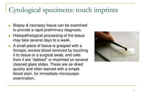 PPT Clinical Cytology PowerPoint Presentation Free Download ID 974179