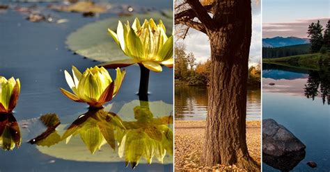 List Cracking The Leetcode 100 Curated By Meryll Cruz Medium