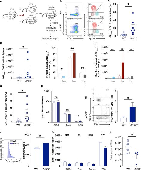 Loss Of Pbaf Promotes Expansion And Effector Differentiation Of Cd8 T
