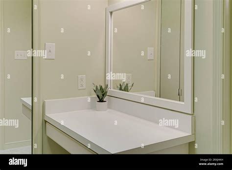 Cute Mint Pastel Bathroom Vanity With Large Mirror And Succulent Stock