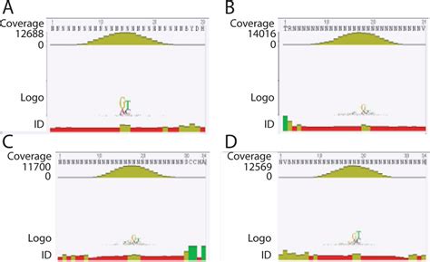 Consensus Nucleotide Binding Activity Of 4 Different Dinoflagellates Download Scientific