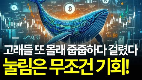 고래들 불장 대비 또 코인 줍줍 이번에도 놓치실 겁니까 Youtube