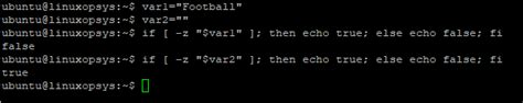 Determining If A Bash String Is Empty