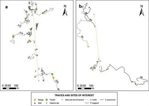 Full Article Movement And Habitat Use Of Three High Andean Rodent