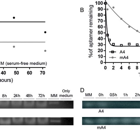 Aptamer Sequence Engineering Into Split Aptamers Split Apt Corresponds