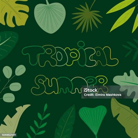 야자수 잎과 열대 여름 글자가 있는 인사말 카드 컬러 낙서 벡터 그림입니다 개체 그룹에 대한 스톡 벡터 아트 및 기타 이미지 개체 그룹 공휴일 나뭇가지 Istock