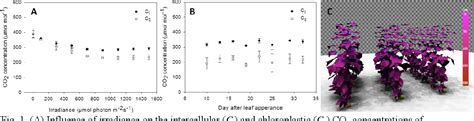 Figure 1 From Revealing The Relative Importance Of Photosynthetic