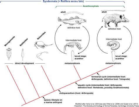 Parasite Evolution Working Group Herlyn