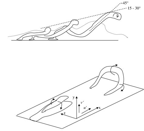 idealized cross section upper and 3 d view lower of the growth and