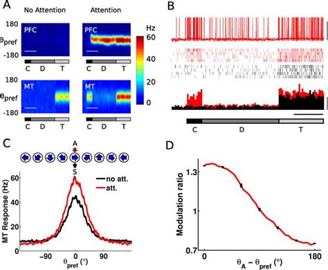 feature based attention in model simulations for single motion
