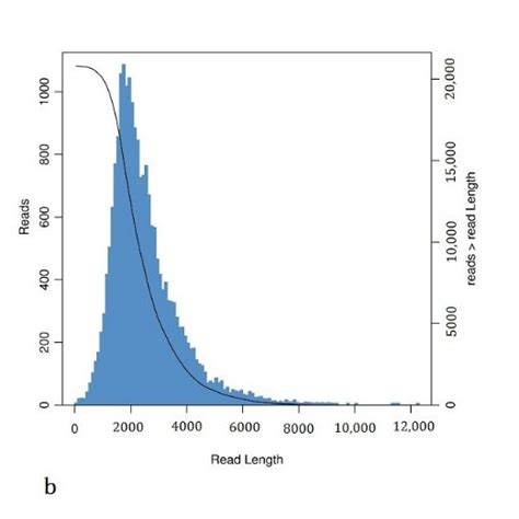 The Length Distribution Map A Ccs Length Distribution B Polished