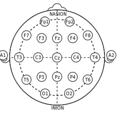 an example wireless body area network wban network download