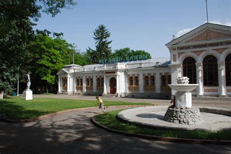 Отзывы о Ессентуках