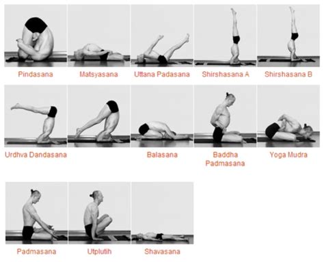 홈요가 아쉬탕가 요가 8단계 순서 난이도 및 빈야사요가 동작 자세 다이어트 효과 네이버 블로그