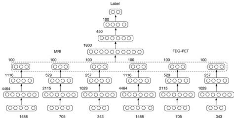 Multimodal Multiscale Deep Neural Network 1488 705 And 343 Are Input Download Scientific