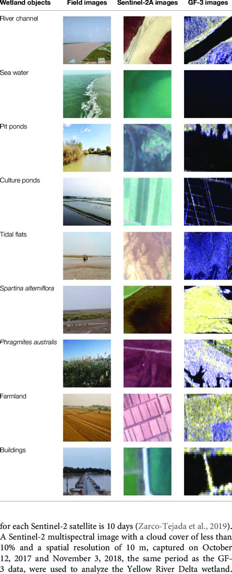 the remote sensing interpretation key of main wetland objects in the