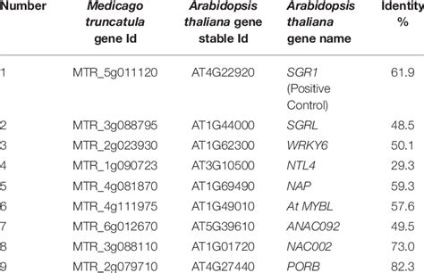 Screening Of Tfs For Gene Function Identification Download