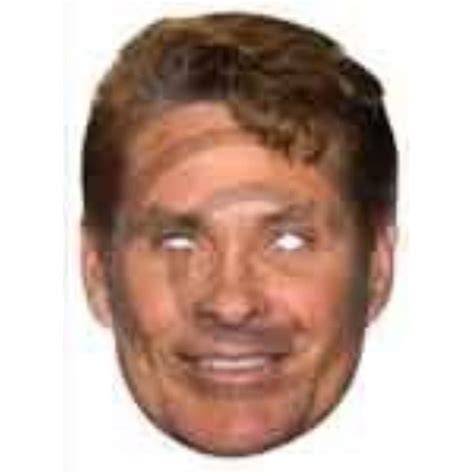 David Hasselhoff Celebrity Face Mask Arade Generic One Size Unisex Adult Skin Fancy Dress Party