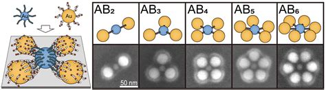 Fabricating Plasmonic Molecules By Precisely Arranging Nanoparticles