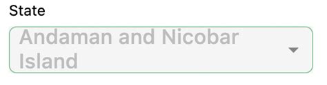 Text Style Not Getting Set On Search Item Issue Flutter Form Builder Ecosystem Form